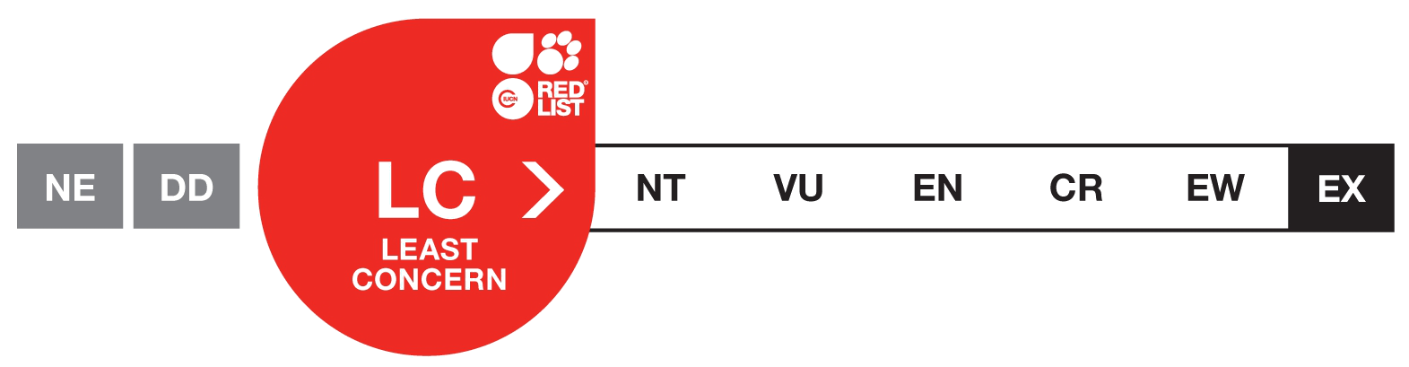 Nematalosa vlaminghi (Munro, 1956)